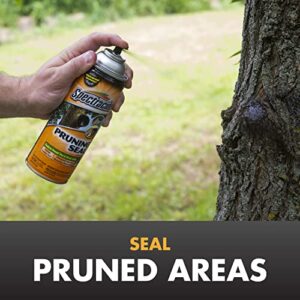 SPECTRUM BRANDS 69000 Spectracide Pruning Seal (Aerosol) (HG-69000) (13 oz), Case Pack of 1,Black