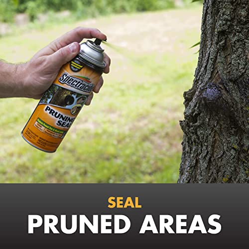 SPECTRUM BRANDS 69000 Spectracide Pruning Seal (Aerosol) (HG-69000) (13 oz), Case Pack of 1,Black