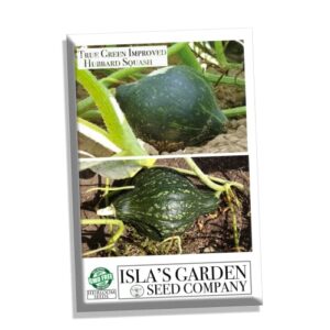 true green improved hubbard squash seeds for planting, 25 heirloom seeds per packet, (isla’s garden seeds), non gmo seeds, scientific name: cucurbita maxima, great home garden gift