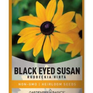 Black Eyed Susan Seeds for Planting - Rudbeckia Hirta Flower Seeds for Cut Flower Gardens Beautiful Yellow and Black Flowers to Grow in Your Garden by Gardeners Basics