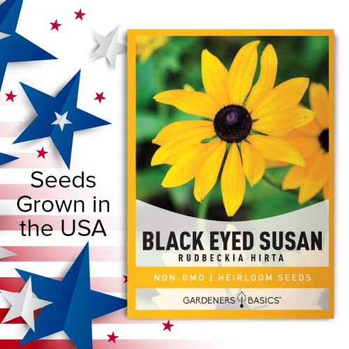 Black Eyed Susan Seeds for Planting - Rudbeckia Hirta Flower Seeds for Cut Flower Gardens Beautiful Yellow and Black Flowers to Grow in Your Garden by Gardeners Basics