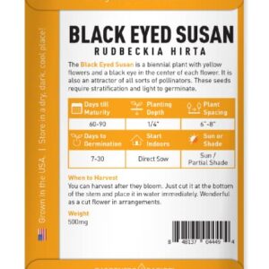 Black Eyed Susan Seeds for Planting - Rudbeckia Hirta Flower Seeds for Cut Flower Gardens Beautiful Yellow and Black Flowers to Grow in Your Garden by Gardeners Basics