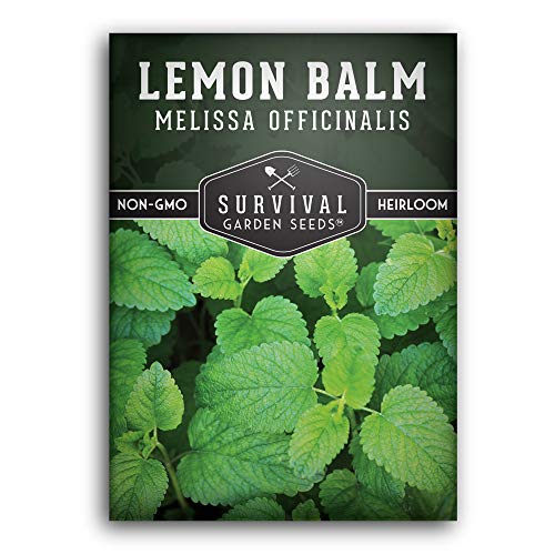 Survival Garden Seeds - Lemon Balm Seed for Planting - Packet with Instructions to Plant and Grow Melissa Officinalis in Your Home Vegetable Garden - Non-GMO Heirloom Variety