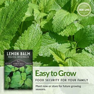 Survival Garden Seeds - Lemon Balm Seed for Planting - Packet with Instructions to Plant and Grow Melissa Officinalis in Your Home Vegetable Garden - Non-GMO Heirloom Variety