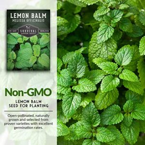 Survival Garden Seeds - Lemon Balm Seed for Planting - Packet with Instructions to Plant and Grow Melissa Officinalis in Your Home Vegetable Garden - Non-GMO Heirloom Variety