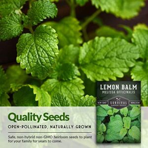 Survival Garden Seeds - Lemon Balm Seed for Planting - Packet with Instructions to Plant and Grow Melissa Officinalis in Your Home Vegetable Garden - Non-GMO Heirloom Variety