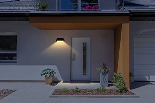 PLUSLED Modern Wall Sconce Outdoor Porch Light Waterproof Patio Lamp LED Wall Light Fixture Aluminum 13W 3000K Wall Lamp for Indoor & Outdoor use Garden Yard