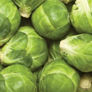 Brussel Sprouts Seeds for Planting, Catskill, 1 Gram, 270 Seeds, Grow Heirloom Brussels Sprouts Fresh in Your Garden, Non-GMO