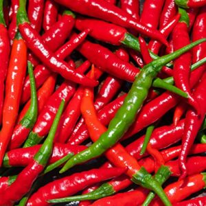 The Old Farmer's Almanac Organic Cayenne Pepper Seeds (Long Slim) - Approx 30 Seeds - Certified Organic, Non-GMO, Open Pollinated, Heirloom