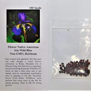 David's Garden Seeds Flower Native American Iris Wild Blue 7611 (Blue) 100 Non-GMO, Heirloom Seeds