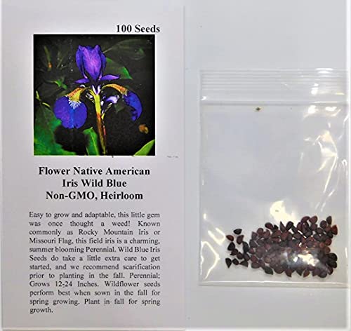 David's Garden Seeds Flower Native American Iris Wild Blue 7611 (Blue) 100 Non-GMO, Heirloom Seeds