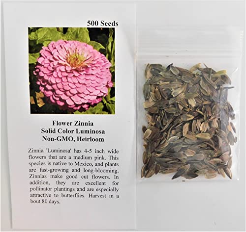 David's Garden Seeds Flower Zinnia Solid Color Luminosa FBA-1164 (Pink) 200 Non-GMO, Heirloom Seeds