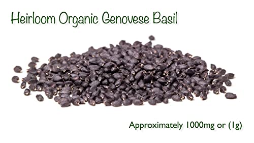 DesertUSA Heirloom Organic Genovese Basil Garden Grow Kit in Gift Box, Non-GMO Herb Seeds, Instructions, Bamboo Plant Labels, 2 Pots, Rose Quartz