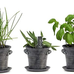 Window Garden Herb Growing Kit - Grow an Indoor Garden, Herb Kitchen Windowsill - Non GMO Seeds, Fresh Organic Basil, Chives, Sage - Rustic Set of Planters with Fiber Soil - Herbs Growing Starter Set