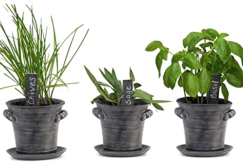 Window Garden Herb Growing Kit - Grow an Indoor Garden, Herb Kitchen Windowsill - Non GMO Seeds, Fresh Organic Basil, Chives, Sage - Rustic Set of Planters with Fiber Soil - Herbs Growing Starter Set