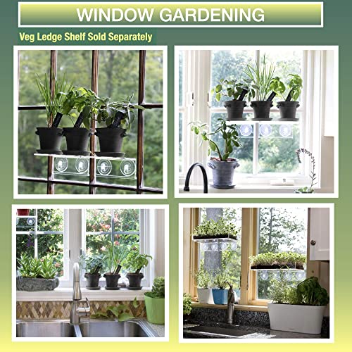 Window Garden Herb Growing Kit - Grow an Indoor Garden, Herb Kitchen Windowsill - Non GMO Seeds, Fresh Organic Basil, Chives, Sage - Rustic Set of Planters with Fiber Soil - Herbs Growing Starter Set