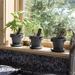 Window Garden Herb Growing Kit - Grow an Indoor Garden, Herb Kitchen Windowsill - Non GMO Seeds, Fresh Organic Basil, Chives, Sage - Rustic Set of Planters with Fiber Soil - Herbs Growing Starter Set