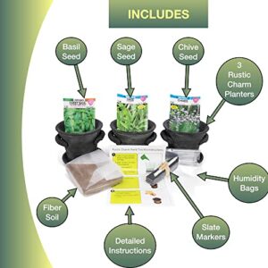 Window Garden Herb Growing Kit - Grow an Indoor Garden, Herb Kitchen Windowsill - Non GMO Seeds, Fresh Organic Basil, Chives, Sage - Rustic Set of Planters with Fiber Soil - Herbs Growing Starter Set