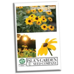 Brown-Eyed Susan Flower Seeds for Planting, 3000+ Seeds Per Packet, (Isla's Garden Seeds), Non GMO & Heirloom Seeds, Scientific Name: Rudbeckia triloba, Great Home Flower Garden Gift