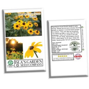 Brown-Eyed Susan Flower Seeds for Planting, 3000+ Seeds Per Packet, (Isla's Garden Seeds), Non GMO & Heirloom Seeds, Scientific Name: Rudbeckia triloba, Great Home Flower Garden Gift