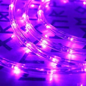 50ft 360 LED Rope Lights Outdoor, Connectable and Flexible Tube Lights with 8 Modes, Waterproof Indoor Outdoor LED Rope Lighting for Deck, Garden, Pool, Patio, Wedding, Xmas Decorations (Purple)