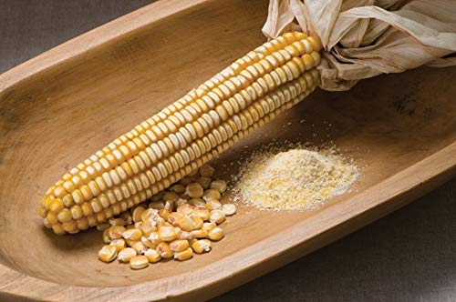 David's Garden Seeds Corn Dent Nothstine FBA-9335 (Yellow) 100 Non-GMO, Heirloom Seeds