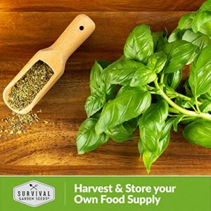 Survival Garden Seeds - Culinary Basil Mix - Packet with Instructions to Plant and Grow Genovese, Lemon, Lime, Opal & Thai Basil Herbs Your Home Vegetable Garden - Non-GMO Heirloom Varieties