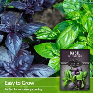 Survival Garden Seeds - Culinary Basil Mix - Packet with Instructions to Plant and Grow Genovese, Lemon, Lime, Opal & Thai Basil Herbs Your Home Vegetable Garden - Non-GMO Heirloom Varieties