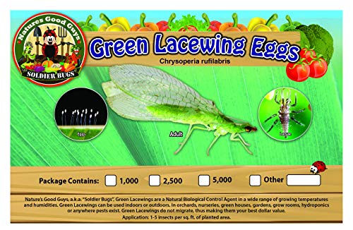 Nature's Good Guys Green Lacewing 5,000 Eggs