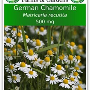 TKE Farms - German Chamomile Seeds for Planting, 500 mg ~ 5000 Seeds, Matricaria recutita