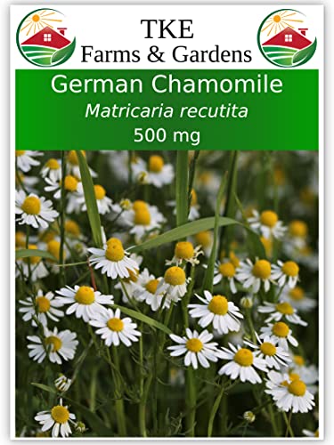 TKE Farms - German Chamomile Seeds for Planting, 500 mg ~ 5000 Seeds, Matricaria recutita