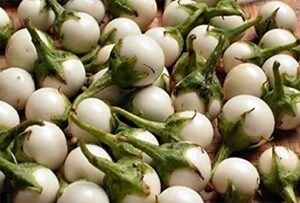 30+ premium white mini round eggplant – cà pháo trắng trái nhỏ – solanum macrocarpon – seeds by happy seeds & garden