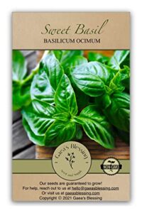 gaea’s blessing seeds – sweet basil seeds – non-gmo large leaf italian heirloom genovese pesto open-pollinated high yield 87% germination rate 2.5g (single pack)