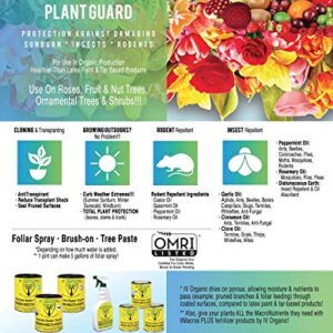 IV Organic 3-in-1 Plant Guard, 1 Pint (Greige)