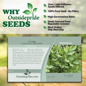 Outsidepride Perennial Levisticum Lovage Culinary Herb Garden Plants Used for Flavoring & Salt Substitute - 1000 Seeds