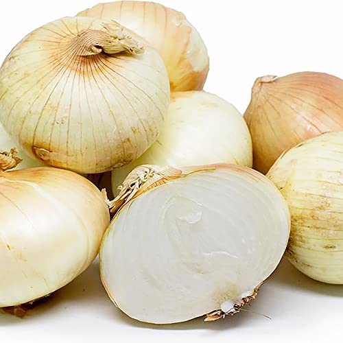 YEGAOL Garden 200Pcs Vidalia Sweet Onion Seeds Non-GMO Organic Cooking Garden Backyard Plant Vegetable Seeds