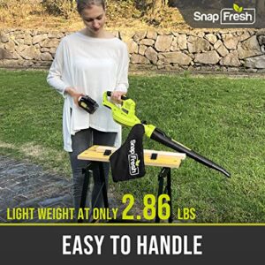 Cordless Blower & Vacuum - SnapFresh 2 in 1 Electric Blower with 4.0Ah Lithium Battery & 2h Fast Charger, 20V Handheld Vacuum Sweeper with Bag for Small Trash, Car, Dust, Pet Hair, Corner Cleaning