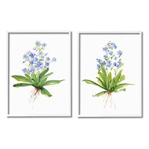 stupell industries bluebird garden floral bunch spring flower bouquets, designed by sally swatland white framed wall art, 2pc, each 11 x 14, blue