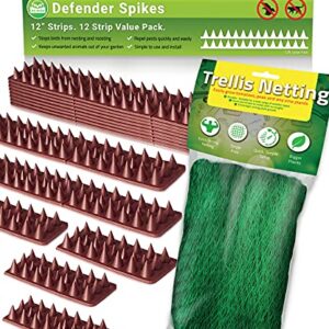 De-Bird Bundle Includes: Defender Spikes 12 pk & Heavy Duty Trellis Netting - Keep Away Pigeon, Woodpecker & Cats from Your Garden and Crops