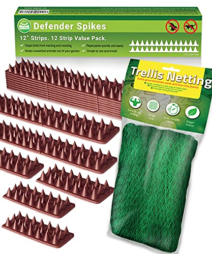 De-Bird Bundle Includes: Defender Spikes 12 pk & Heavy Duty Trellis Netting - Keep Away Pigeon, Woodpecker & Cats from Your Garden and Crops