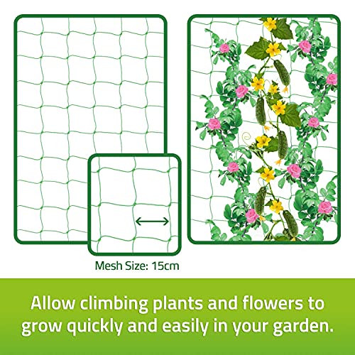 De-Bird Bundle Includes: Defender Spikes 12 pk & Heavy Duty Trellis Netting - Keep Away Pigeon, Woodpecker & Cats from Your Garden and Crops