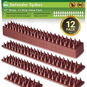 De-Bird Bundle Includes: Defender Spikes 12 pk & Heavy Duty Trellis Netting - Keep Away Pigeon, Woodpecker & Cats from Your Garden and Crops