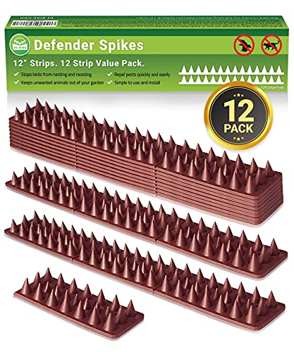 De-Bird Bundle Includes: Defender Spikes 12 pk & Heavy Duty Trellis Netting - Keep Away Pigeon, Woodpecker & Cats from Your Garden and Crops