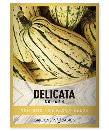 Delicata Squash Seeds for Planting - Winter Squash Heirloom, Non-GMO Vegetable Squash Variety- 3 Grams Seeds Great for Summer Garden by Gardeners Basics