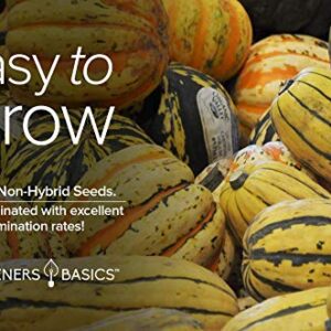 Delicata Squash Seeds for Planting - Winter Squash Heirloom, Non-GMO Vegetable Squash Variety- 3 Grams Seeds Great for Summer Garden by Gardeners Basics