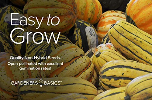 Delicata Squash Seeds for Planting - Winter Squash Heirloom, Non-GMO Vegetable Squash Variety- 3 Grams Seeds Great for Summer Garden by Gardeners Basics