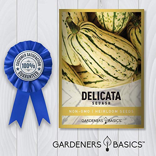 Delicata Squash Seeds for Planting - Winter Squash Heirloom, Non-GMO Vegetable Squash Variety- 3 Grams Seeds Great for Summer Garden by Gardeners Basics