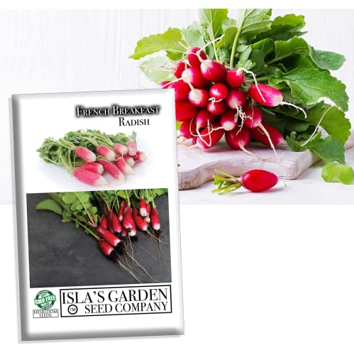 French Breakfast Radish Seeds for Planting, 200+ Heirloom Seeds Per Packet, (Isla's Garden Seeds), Non GMO Seeds, Botanical Name: Raphanus sativus, Great Home Garden Gift