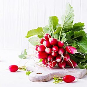 French Breakfast Radish Seeds for Planting, 200+ Heirloom Seeds Per Packet, (Isla's Garden Seeds), Non GMO Seeds, Botanical Name: Raphanus sativus, Great Home Garden Gift