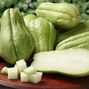 qauzuy garden- 20 chayote seeds mirliton choko non-gmo heirloom perennial vegetables survival gear food seeds drought tolerant easy to grow